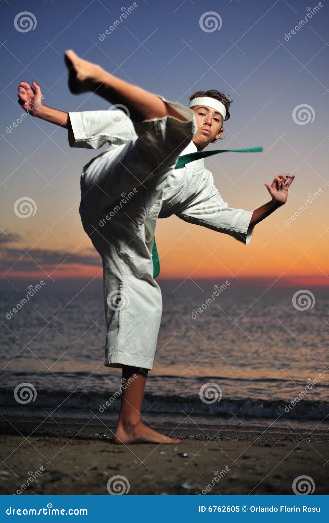 Martial Art Picture. Image: 6762605
