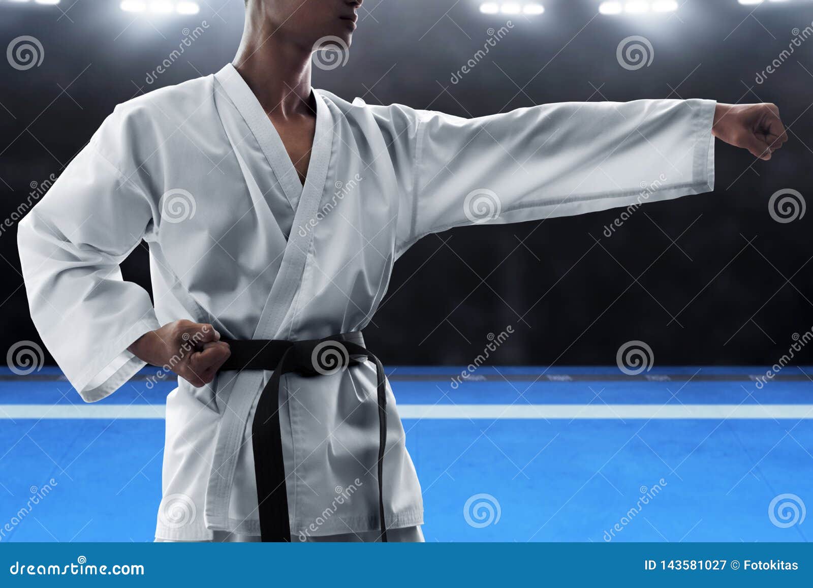 Martial Art Fighter on Arena Stock Image - Image of japanese, action ...