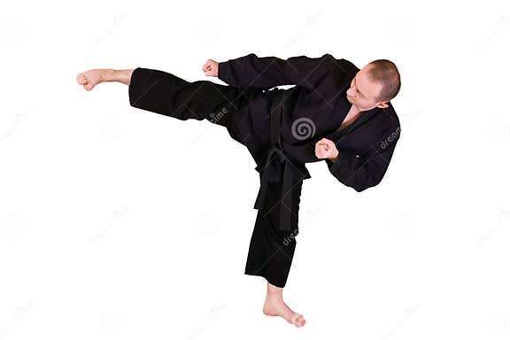 Martial art side kick stock photo. Image of dibujo, attack - 12192896