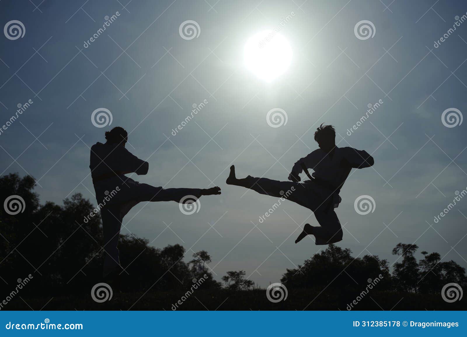Martial Art Side Kick stock photo. Image of silhouette - 312385178