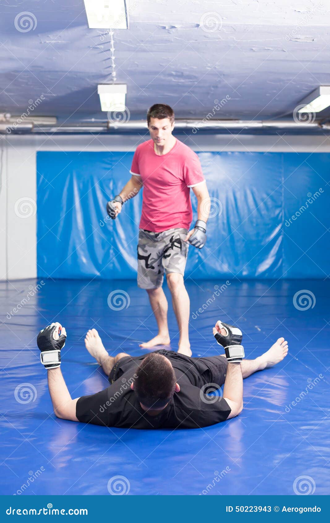 Martial art training stock image. Image of fight, exercise - 50223943