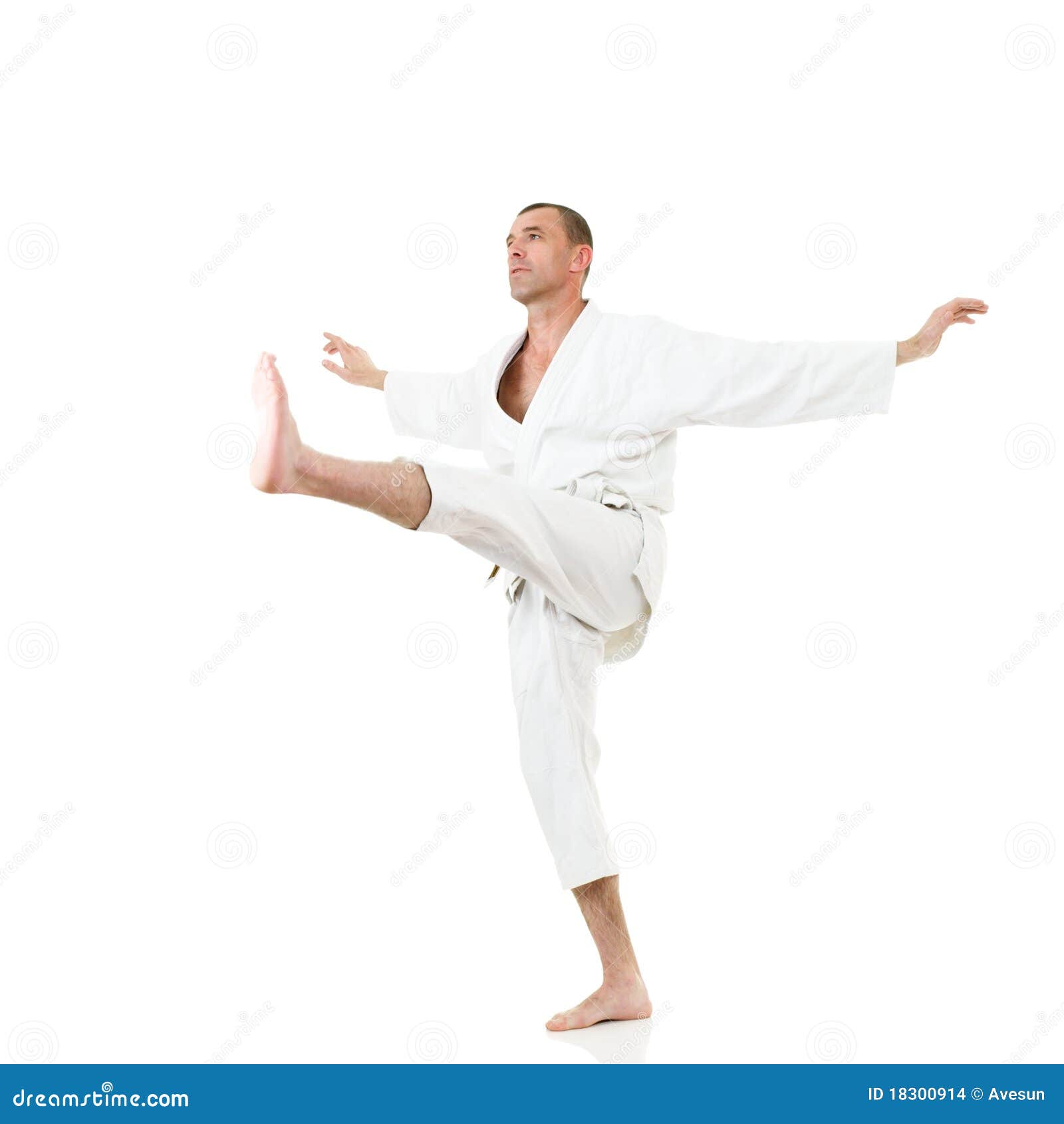 Martial arts stock photo. Image of combat, kimono, adult - 18300914