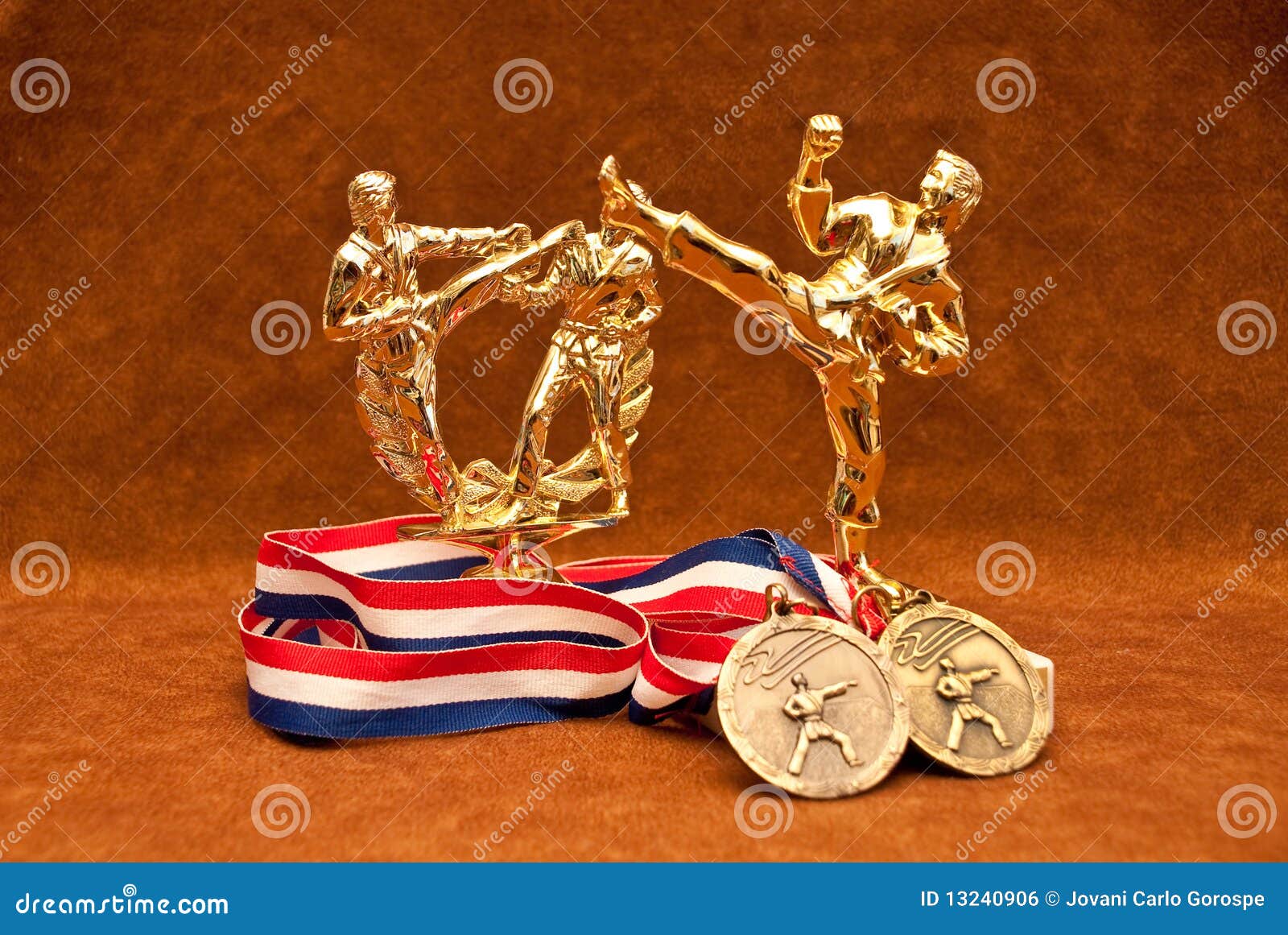 Martial Arts Champion stock photo. Image of courage, activity - 13240906