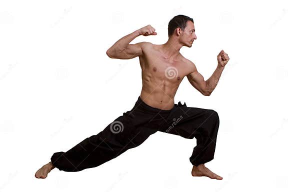 Martial Arts defence pose stock image. Image of fighter - 20919745