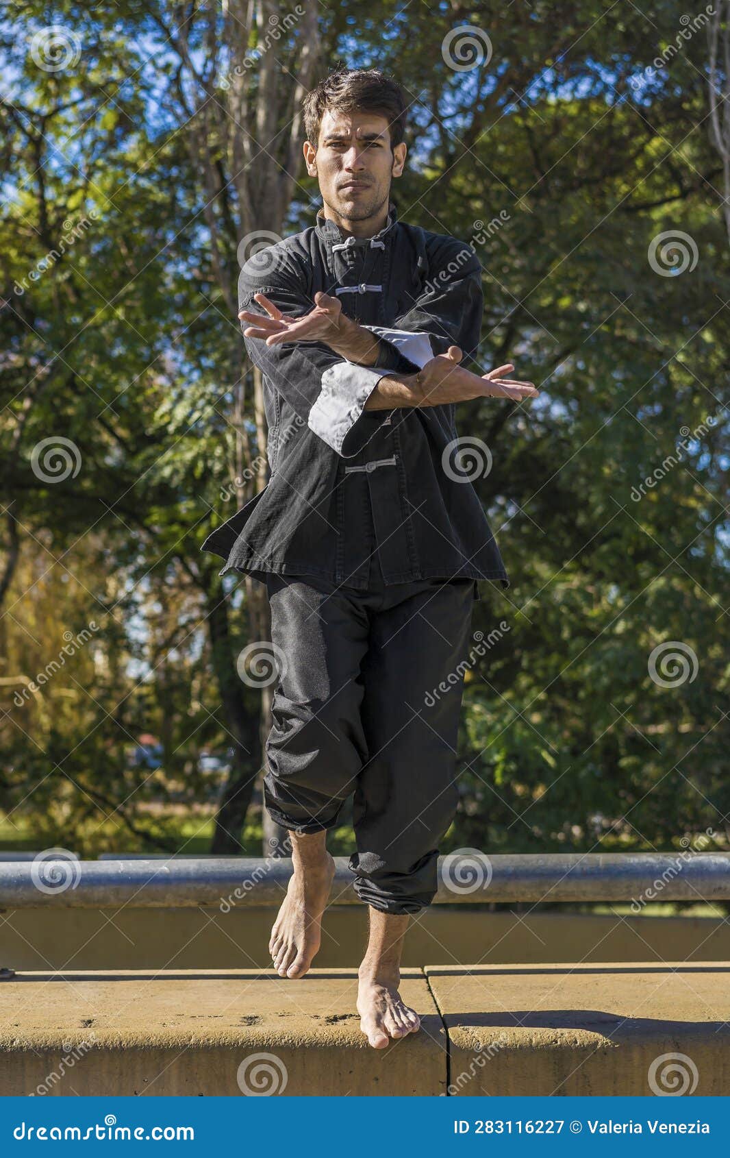 Martial Arts Fighter Balancing on One Leg Outdoors Stock Image - Image ...