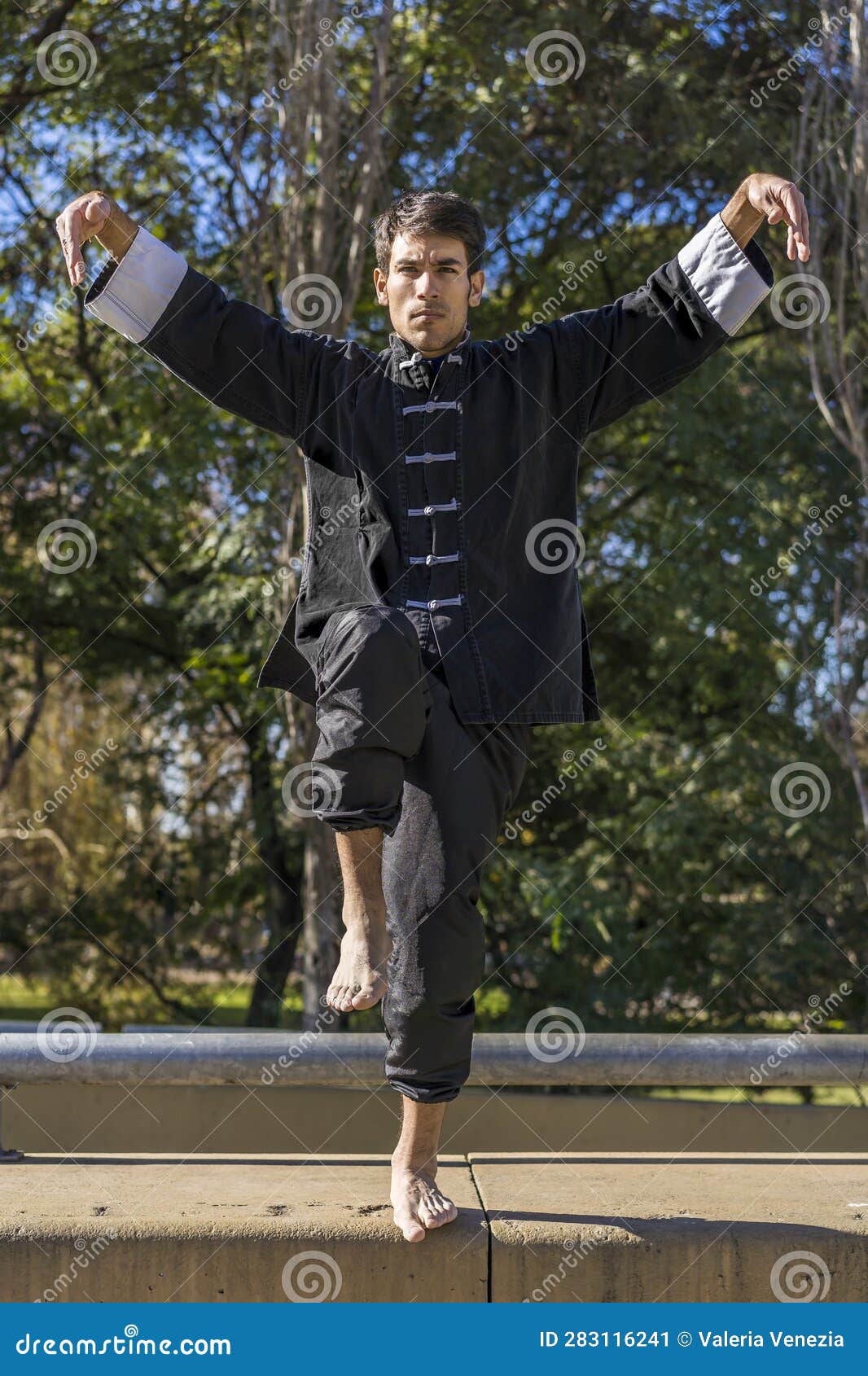 Martial Arts Fighter Practicing Crane Pose Stock Image - Image of ...
