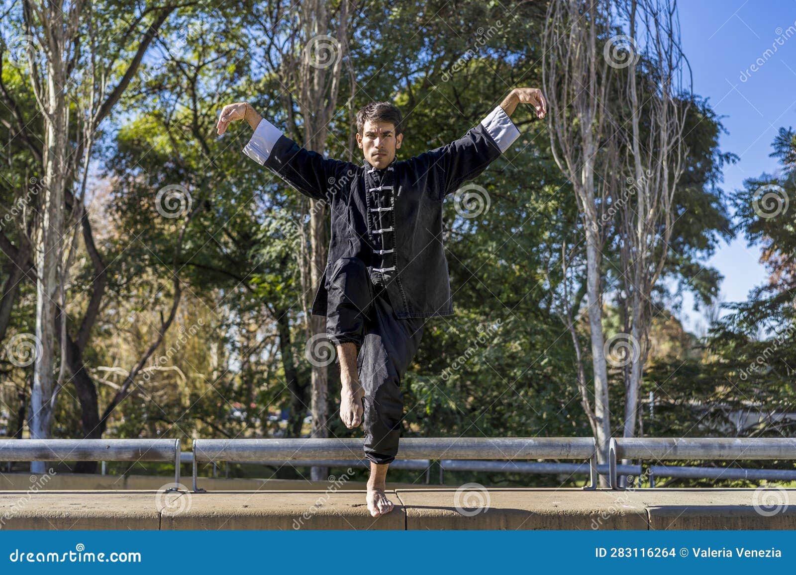 Martial Arts Fighter Practicing Crane Pose Stock Photo - Image of ...