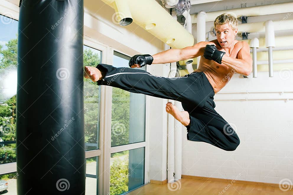 Martial Arts Flying stock image. Image of martial, strength - 6388037