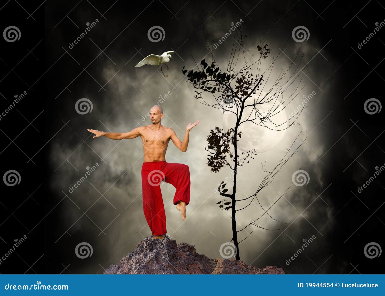 Martial Arts Kung Fu Background Stock Photo - Image of fight, muscular ...