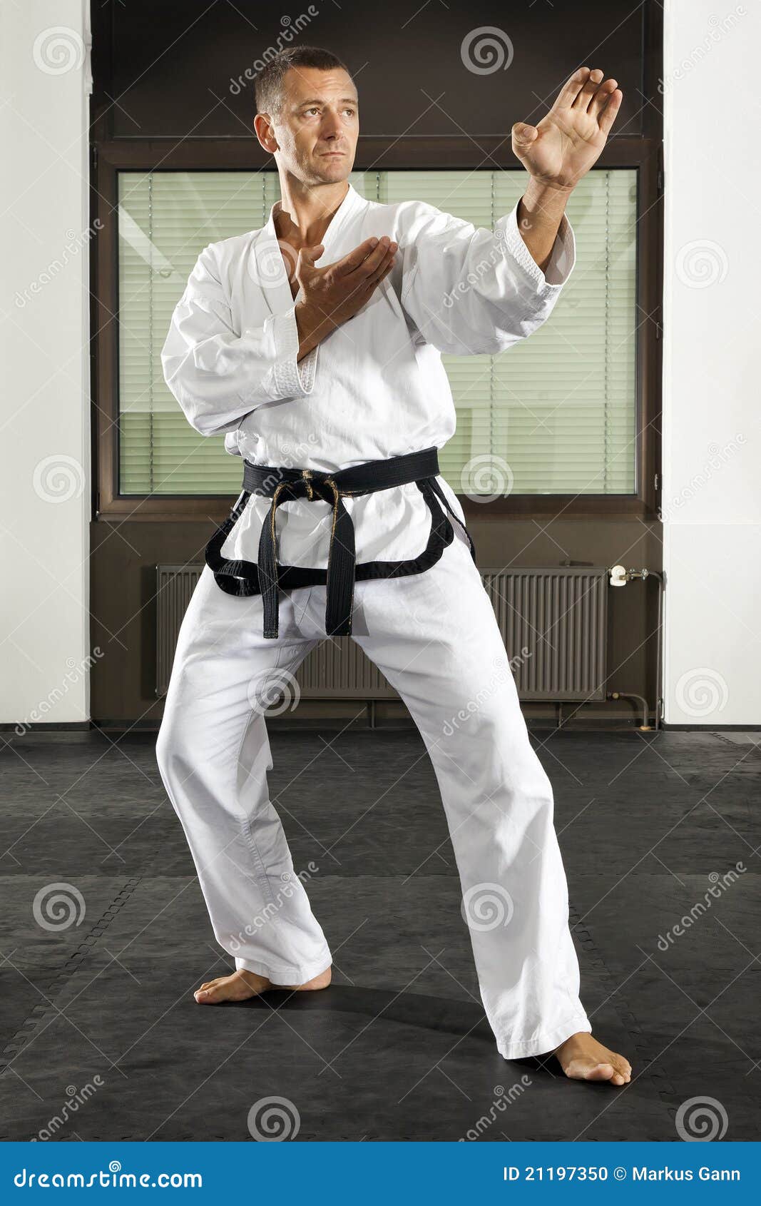 Martial arts master stock photo. Image of arts, concept - 21197350