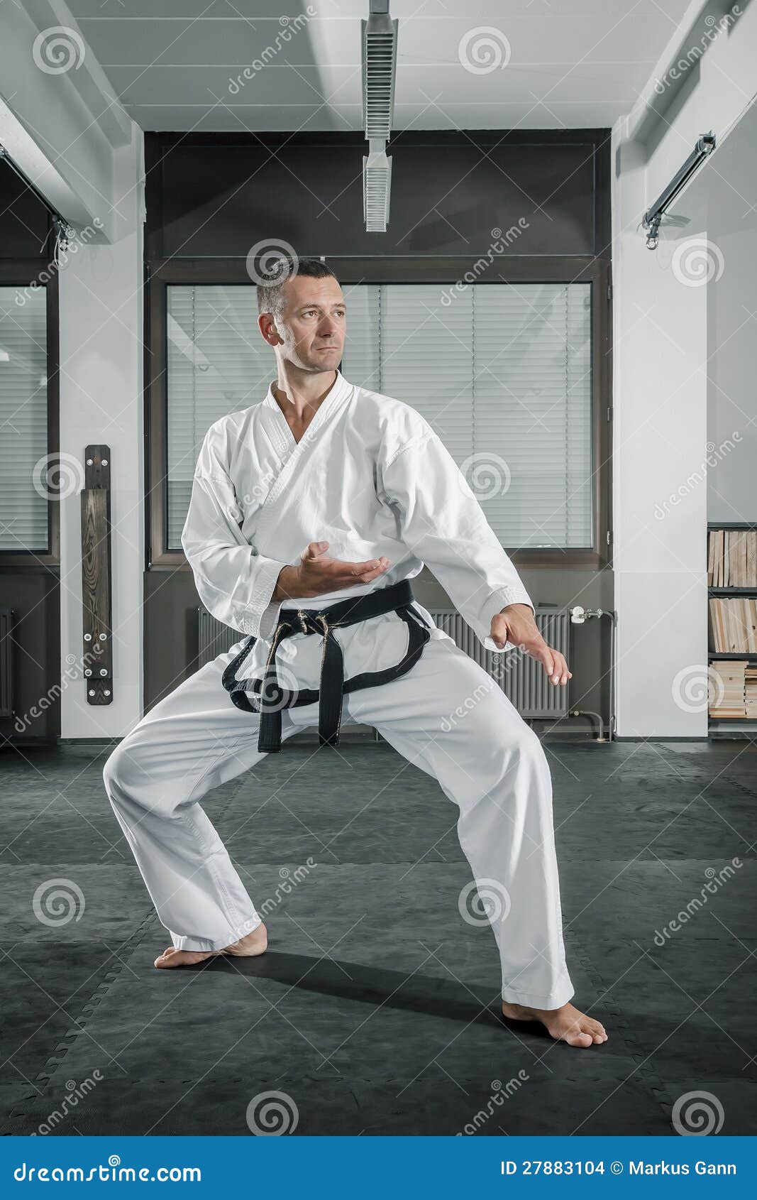 Martial arts master stock photo. Image of practice, self - 27883104