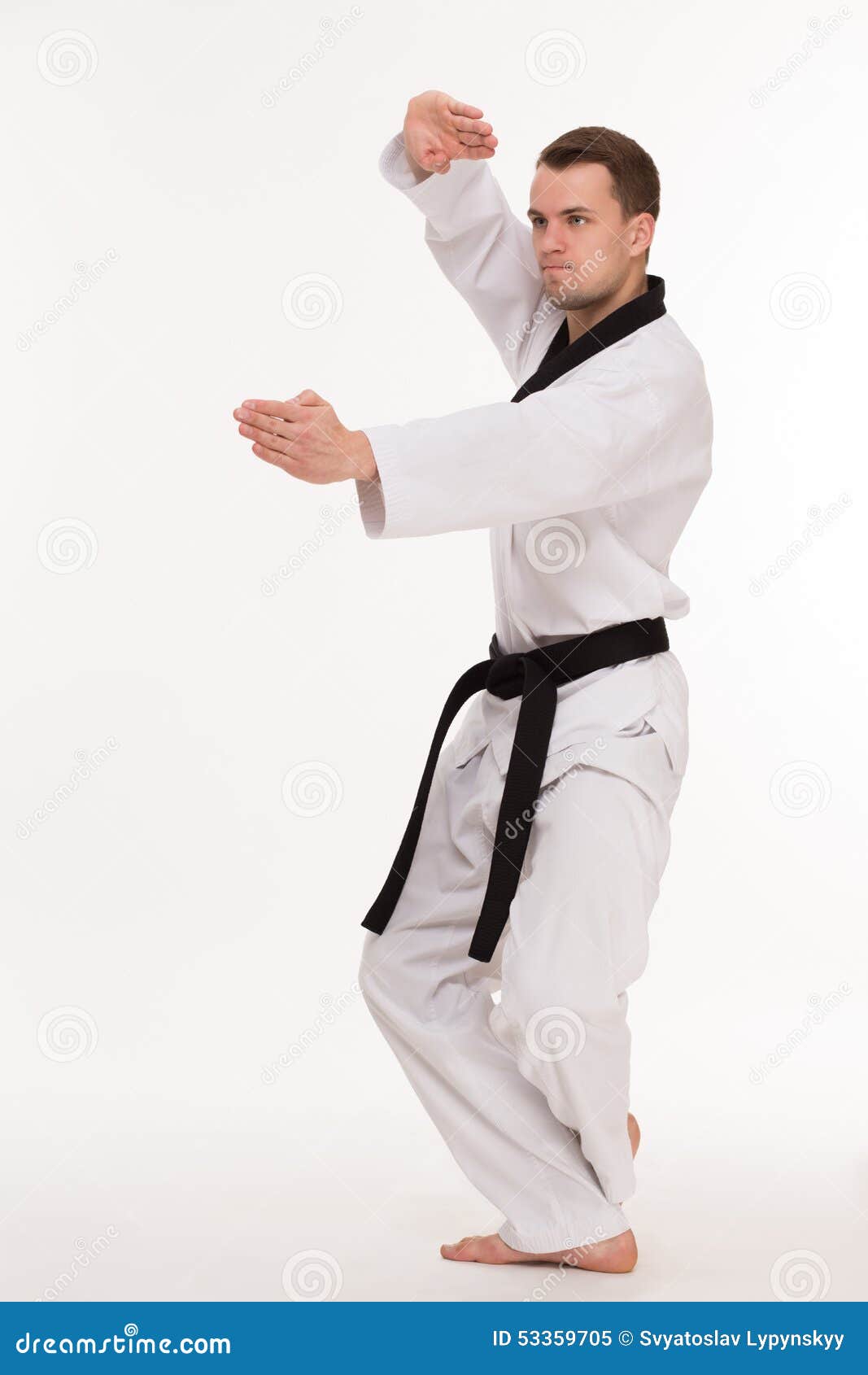 Martial arts master stock image. Image of caucasian, body - 53359705
