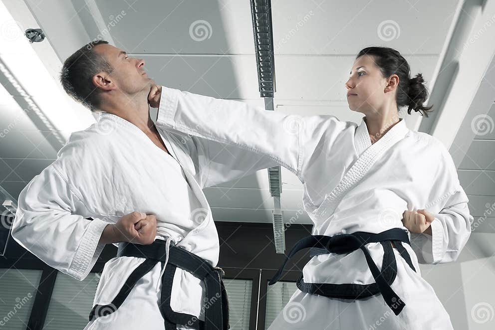 Martial arts masters stock photo. Image of people, fist - 27882080