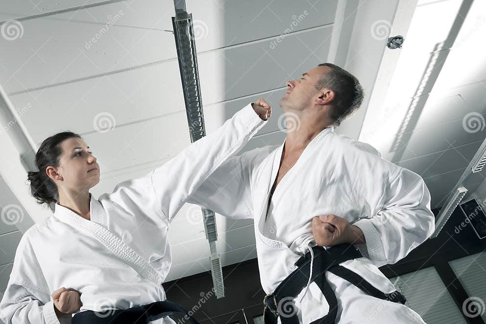 Martial arts masters stock photo. Image of combat, martial - 27882102