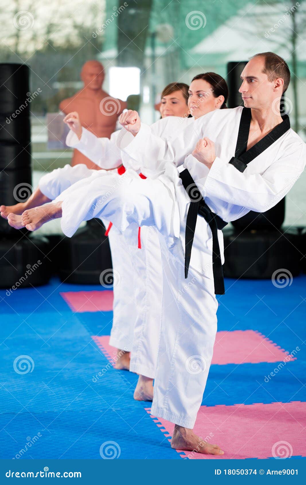Martial Arts Sport Training in Gym Stock Photo - Image of adult ...