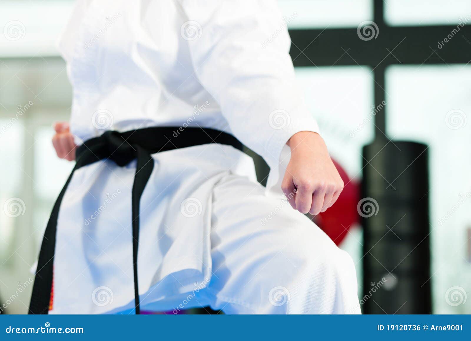 Martial Arts Sport Training in Gym Stock Photo - Image of fight ...