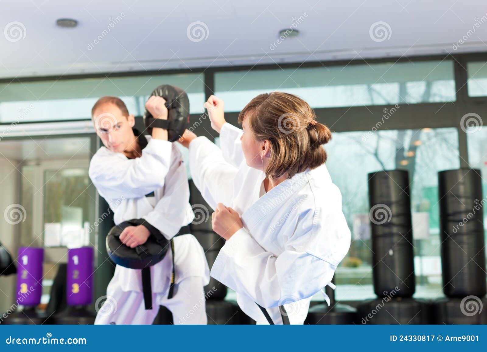 Martial Arts Sport Training in Gym Stock Image - Image of belt ...