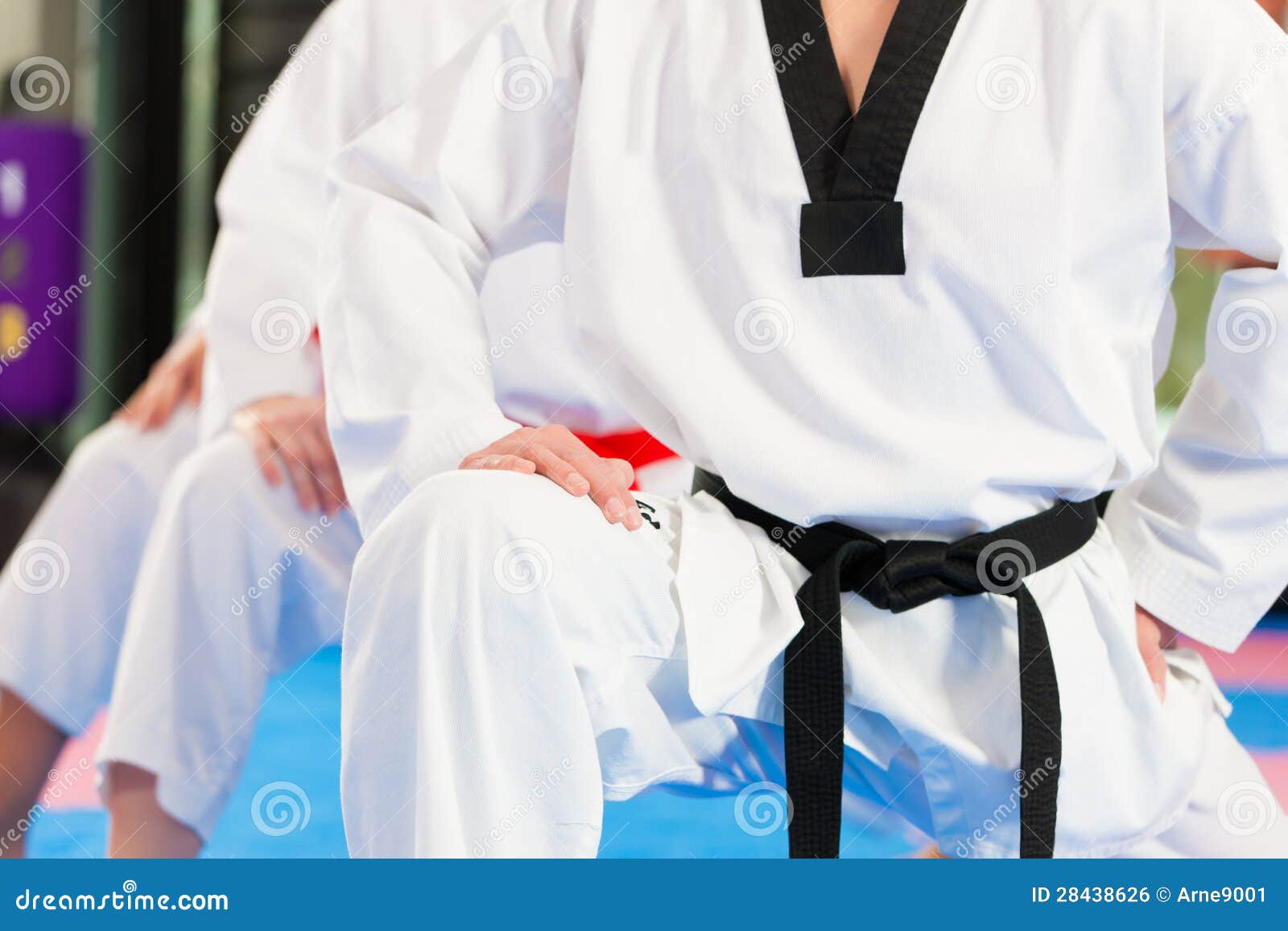 Martial Arts Sport Training in Gym Stock Photo - Image of adult, power ...