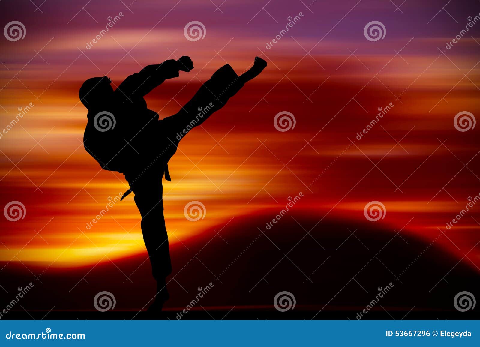 Martial Arts training stock photo. Image of movement - 53667296