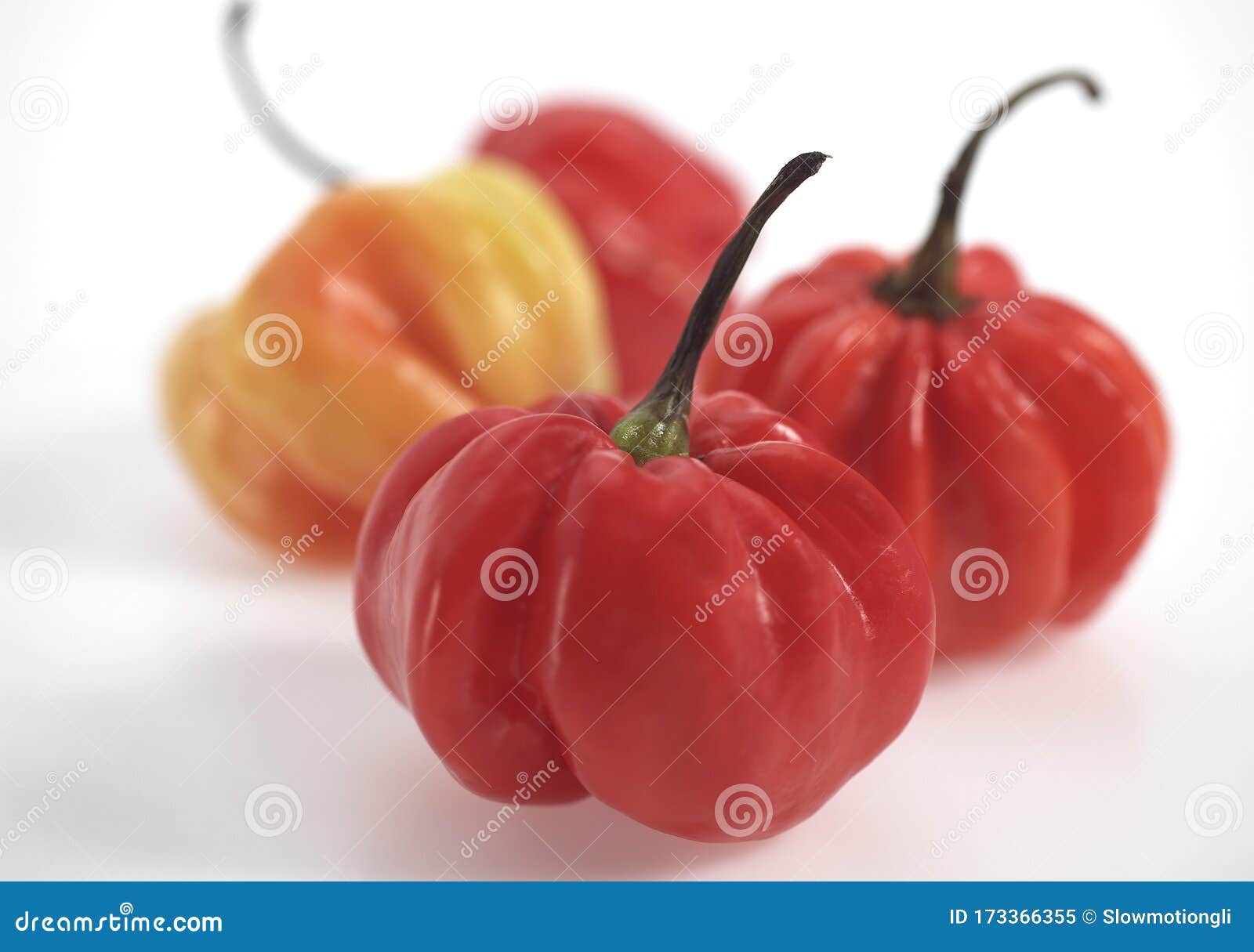 PIMENT DE LA MARTINIQUE stock image. Image of indoors - 173366355