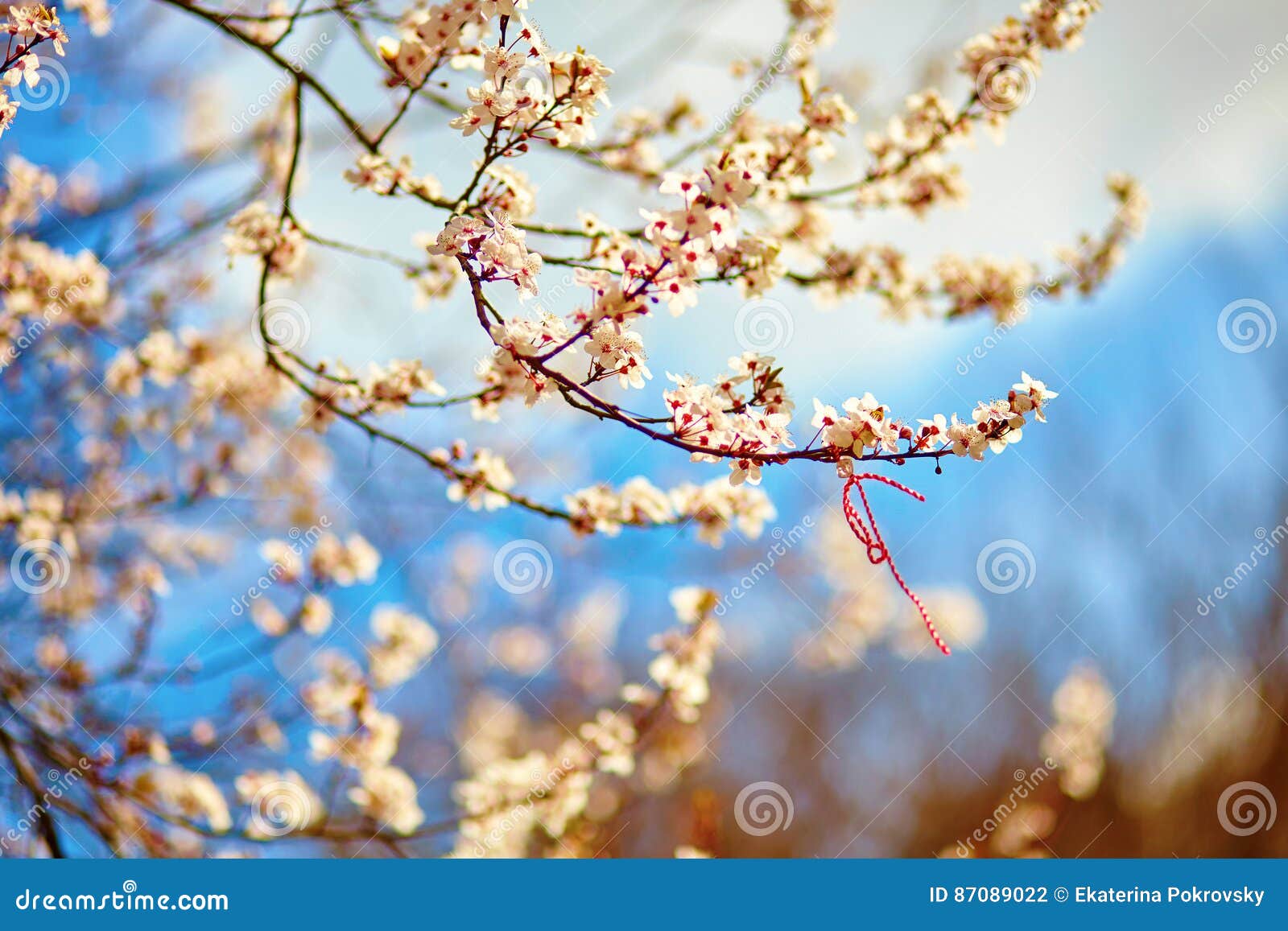 New Beginning In Spring, Newly Opened Bud With Leaves A Park In Spring ...