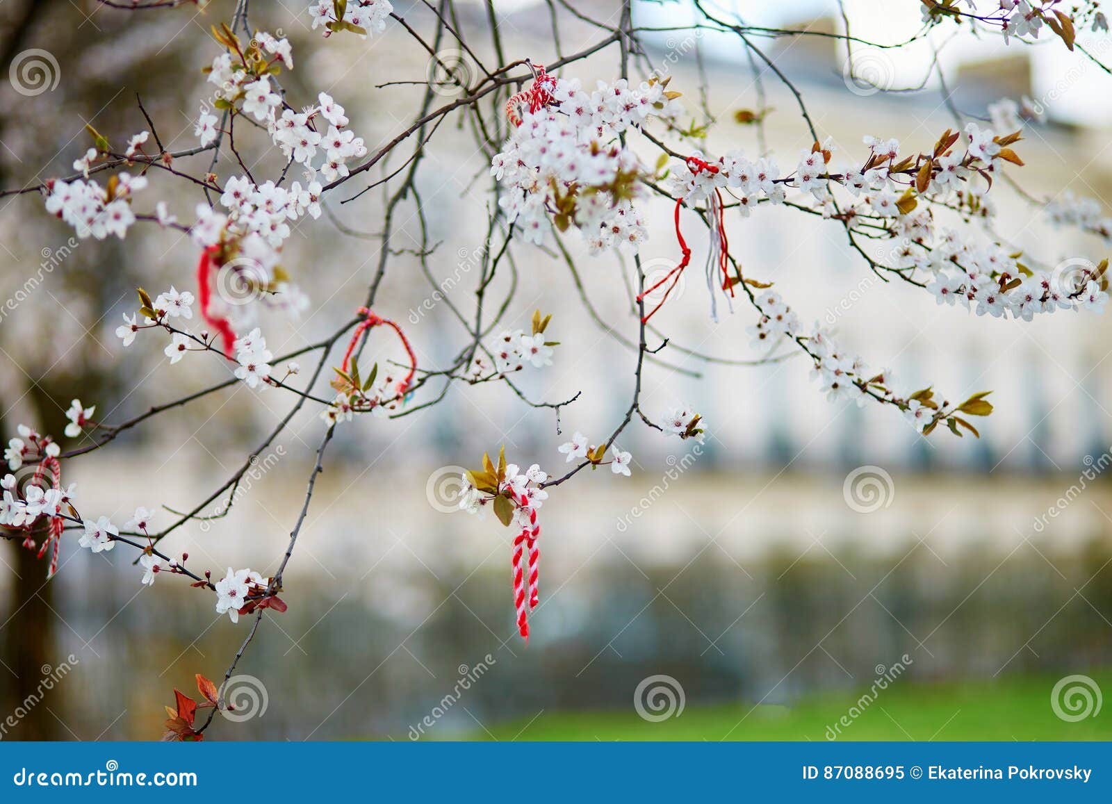 Martisor, symbol of spring stock image. Image of branch - 87088695