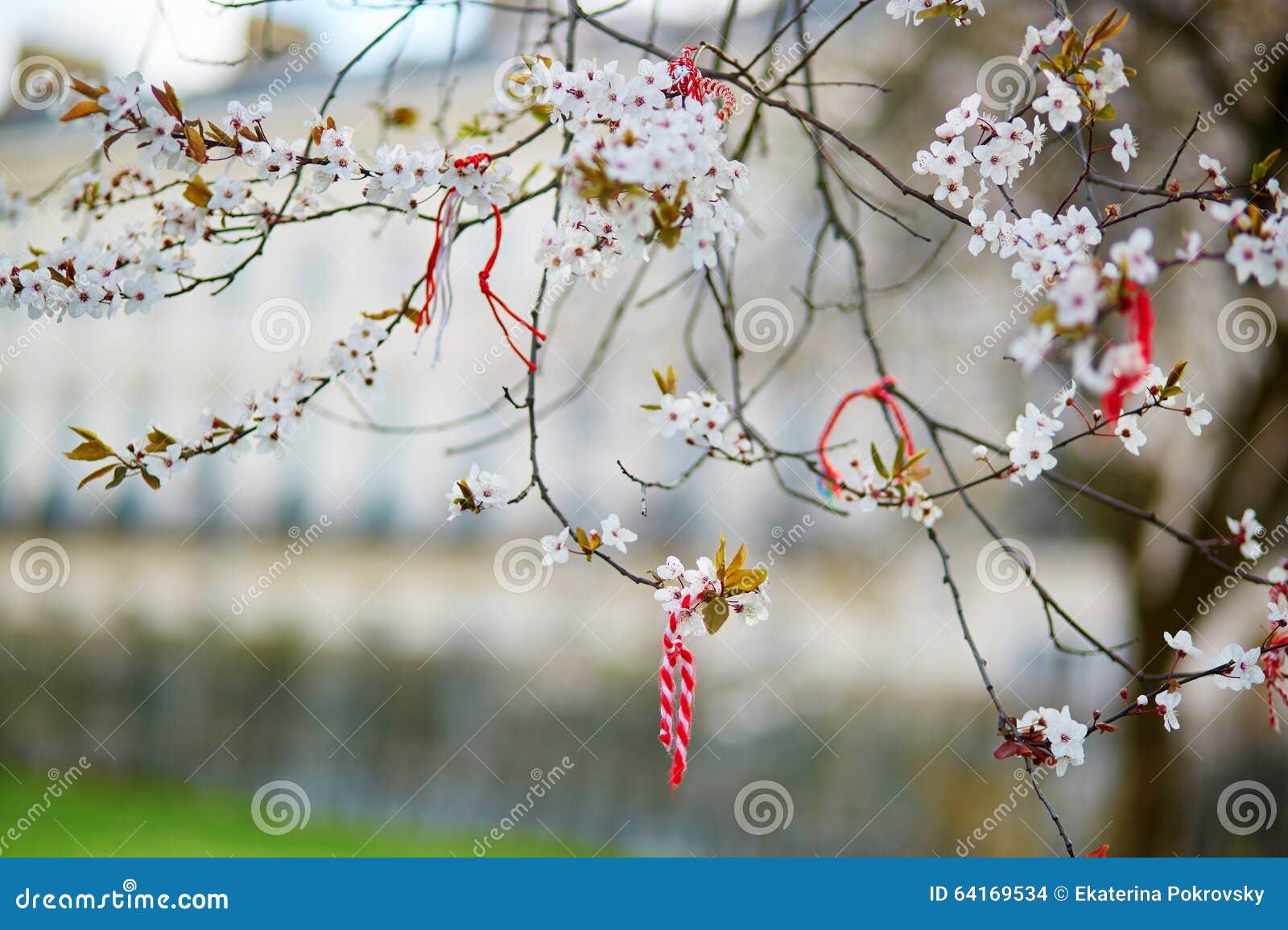 New Beginning In Spring, Newly Opened Bud With Leaves A Park In Spring ...