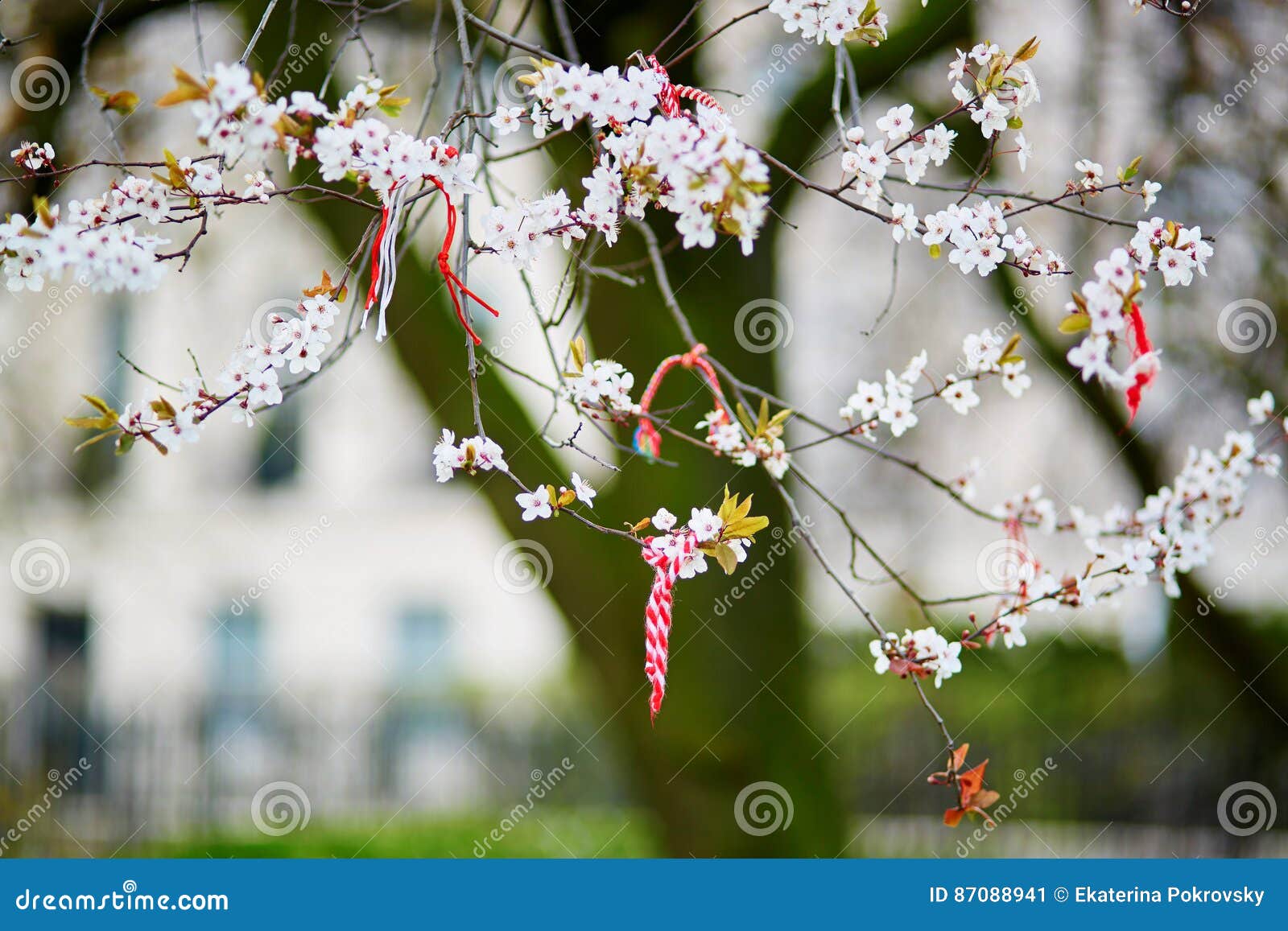 Beginning Of Spring. Fantastic Dreamy Sunrise Above Deep Valley Hidden ...