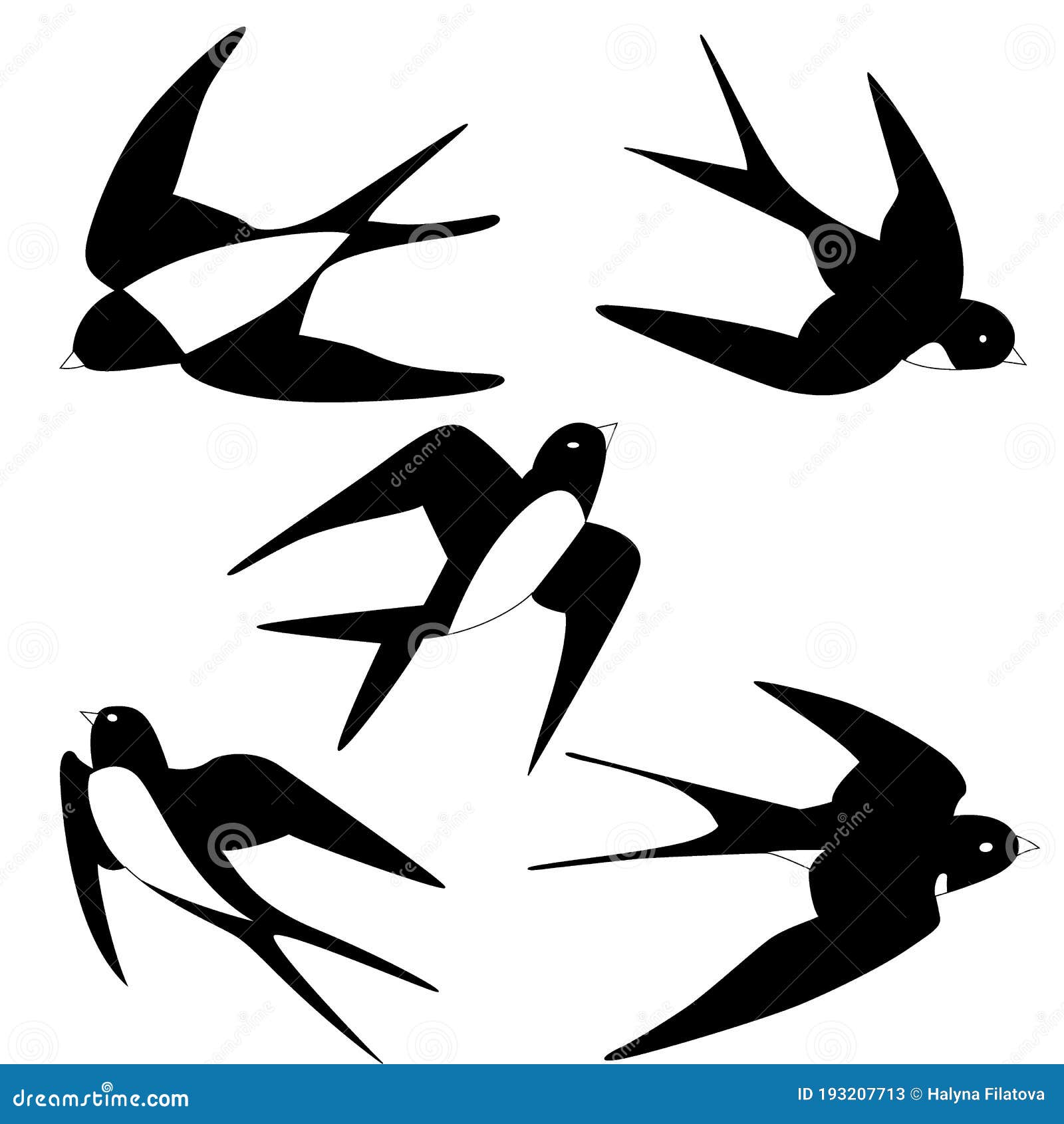 1323 Martlet, Martlet Pictures, Birds Flying, Vector Illustration ...