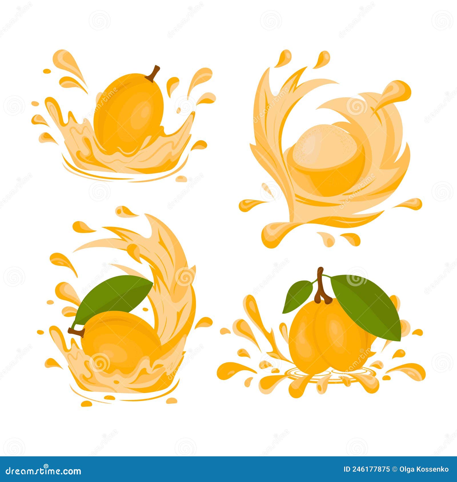 Branch Of Marula Fruit With Leaves Isolated. Sclerocarya Birrea Medium ...