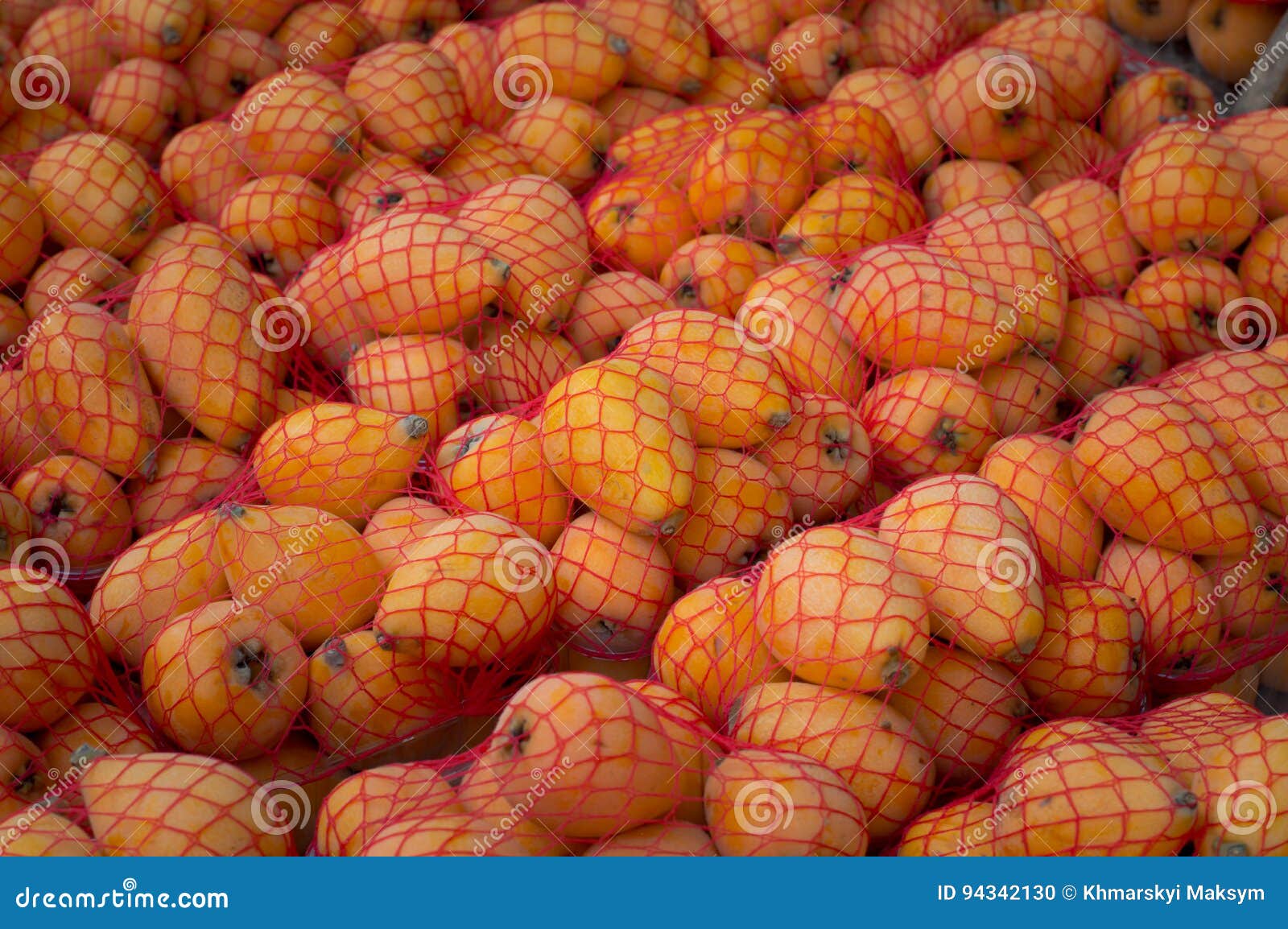Marula Fruit Tree In Burnt Grassland With Anthills Sclerocarya Birrea ...
