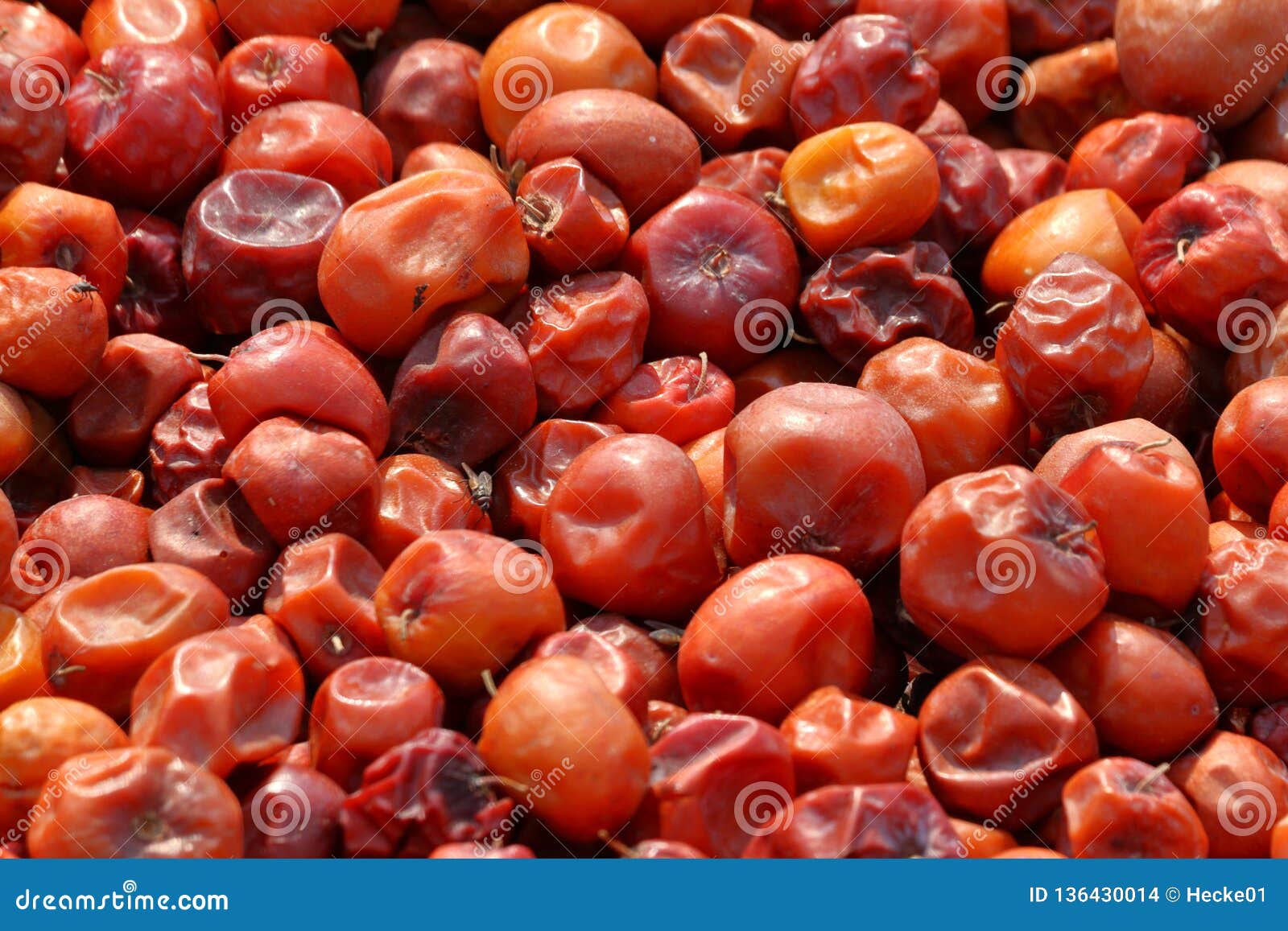 Marula fruits from Malawi stock photo. Image of berry - 136430014