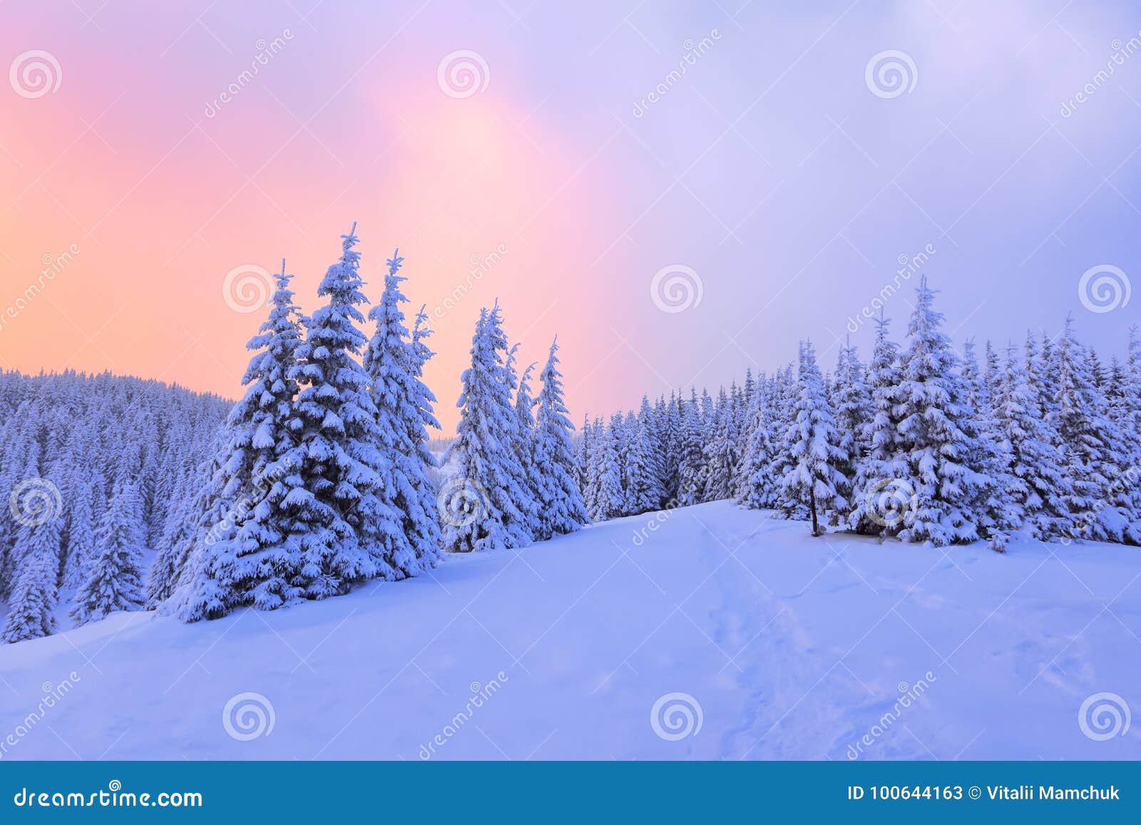 Marvelous Winter Sunrise High in the Mountains in Beautiful Forests and ...
