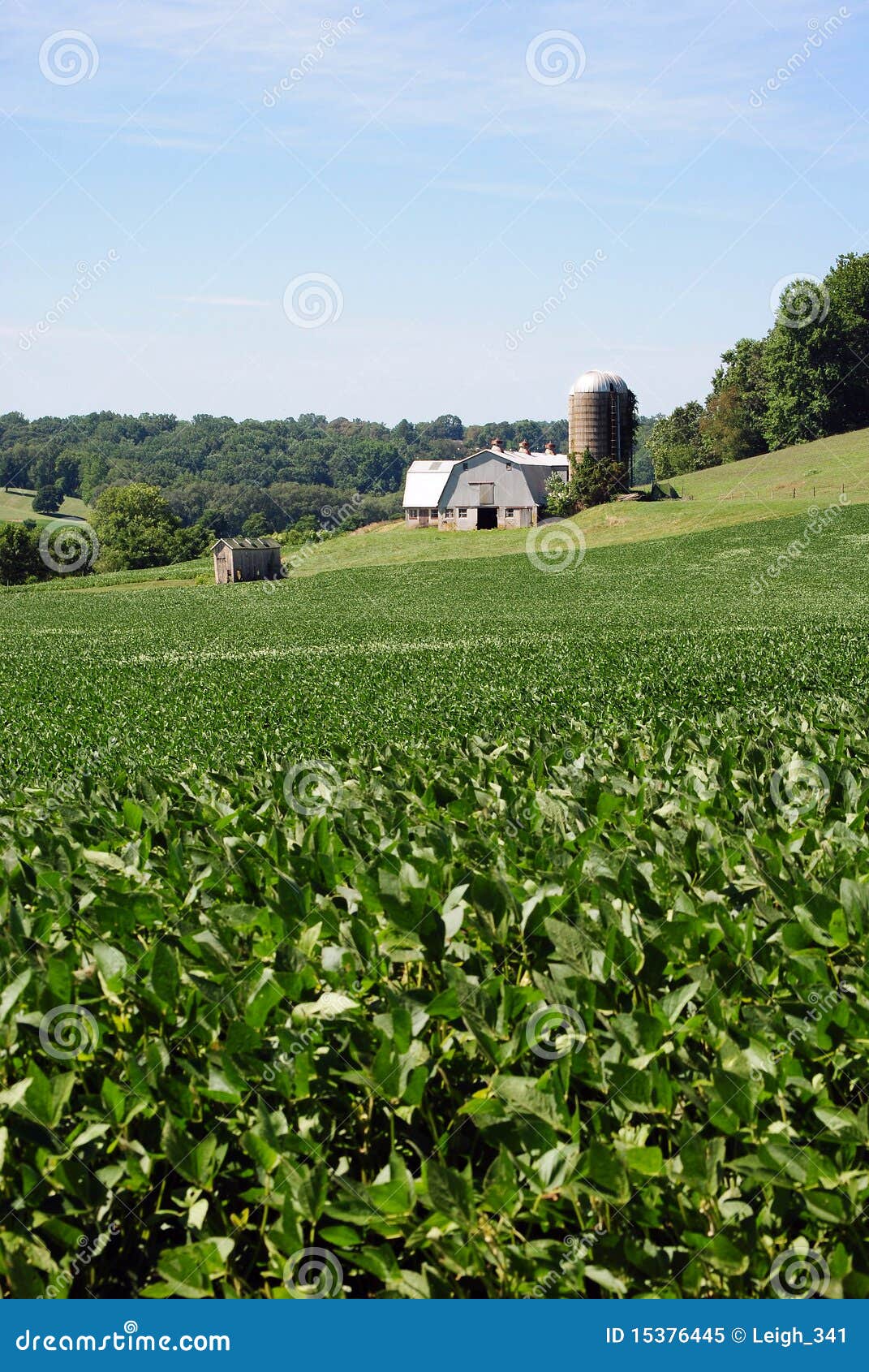 Maryland Farm stock image. Image of farms, building, green - 15376445