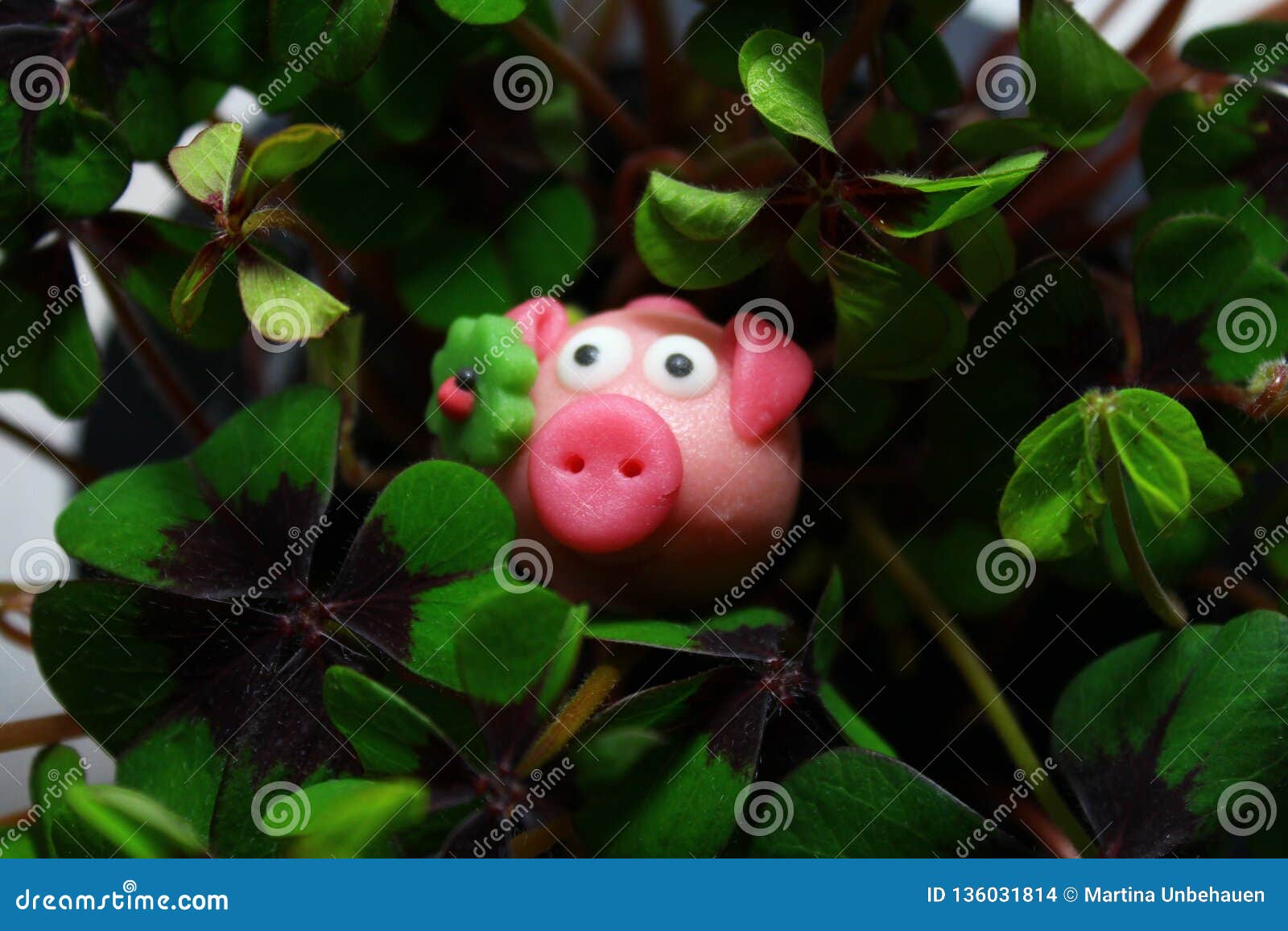 Marzipan Pig in Lucky Clover Stock Photo - Image of happy, macro: 136031814