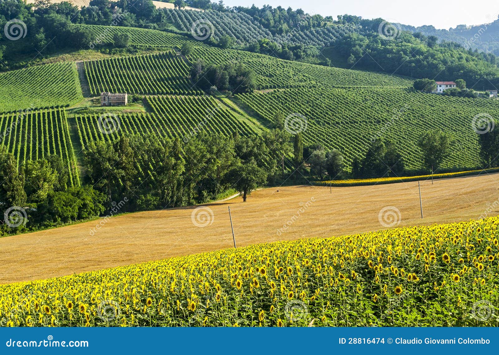 Marzo (Italia), paesaggio fotografia stock. Immagine di panorama - 28816474