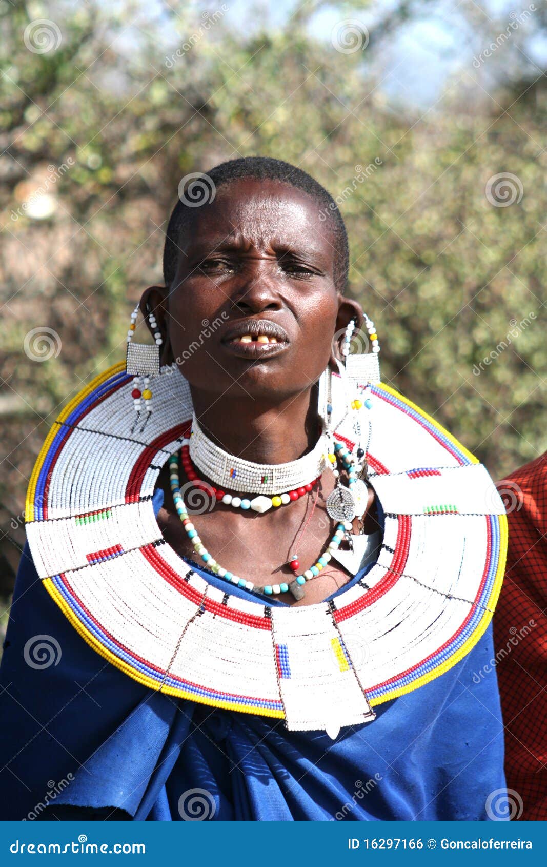 Masai fotografia editoriale. Immagine di multi, riunisce - 16297166