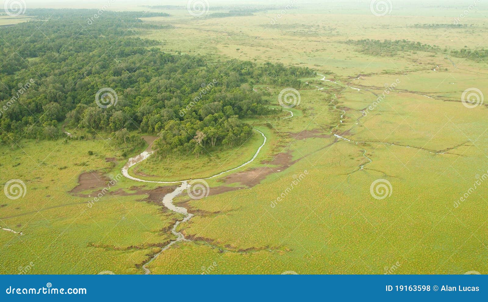 Masai Mara Wetlands stock photo. Image of tourism, marsh - 19163598