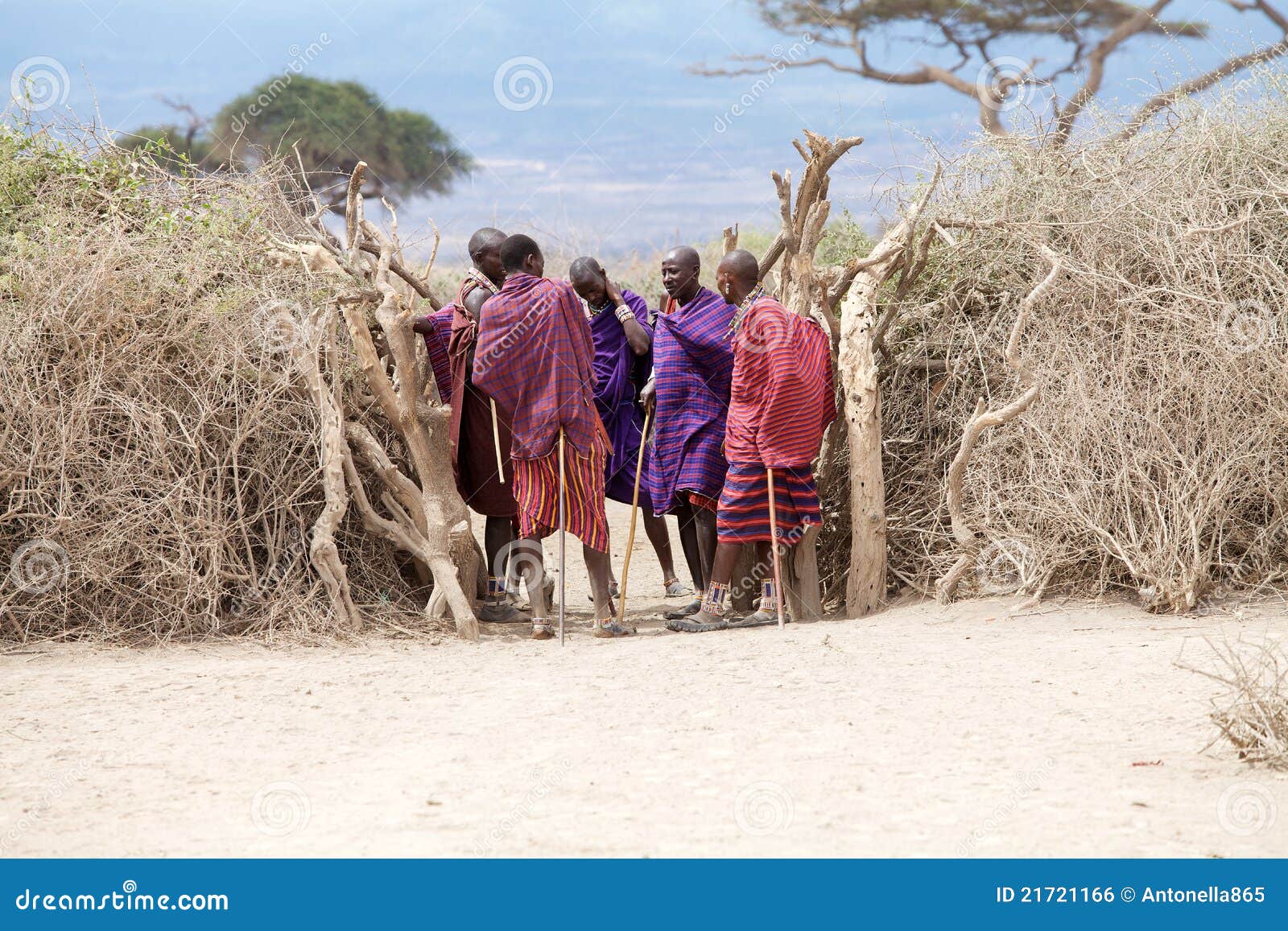 Masai men editorial photo. Image of pump, tourism, colors - 21721166