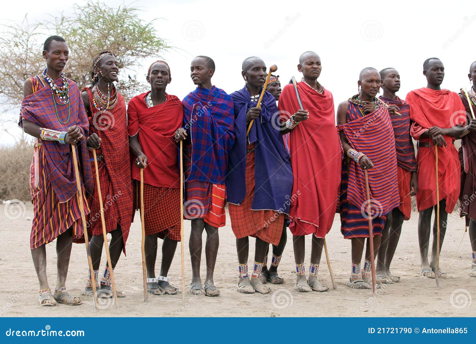 Masai men editorial image. Image of lifestyle, wild, wildlife - 21721790
