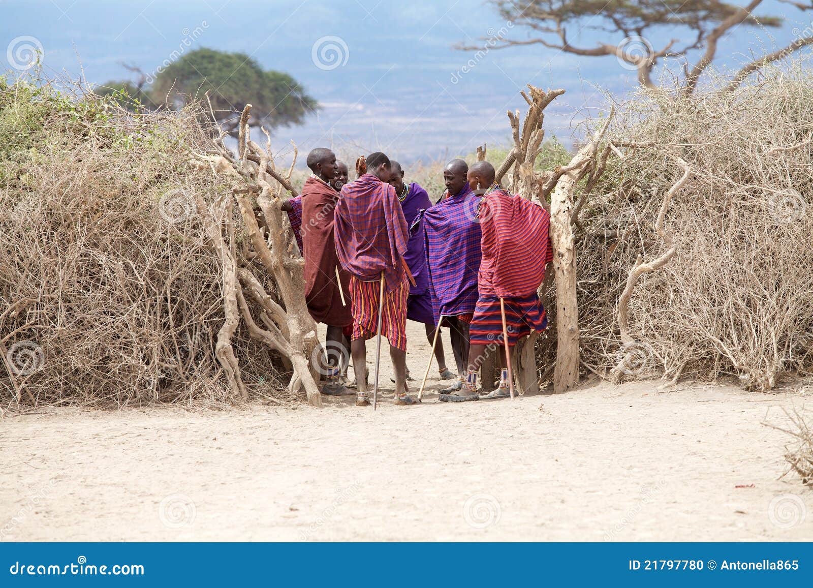Masai men editorial image. Image of colors, water, wild - 21797780