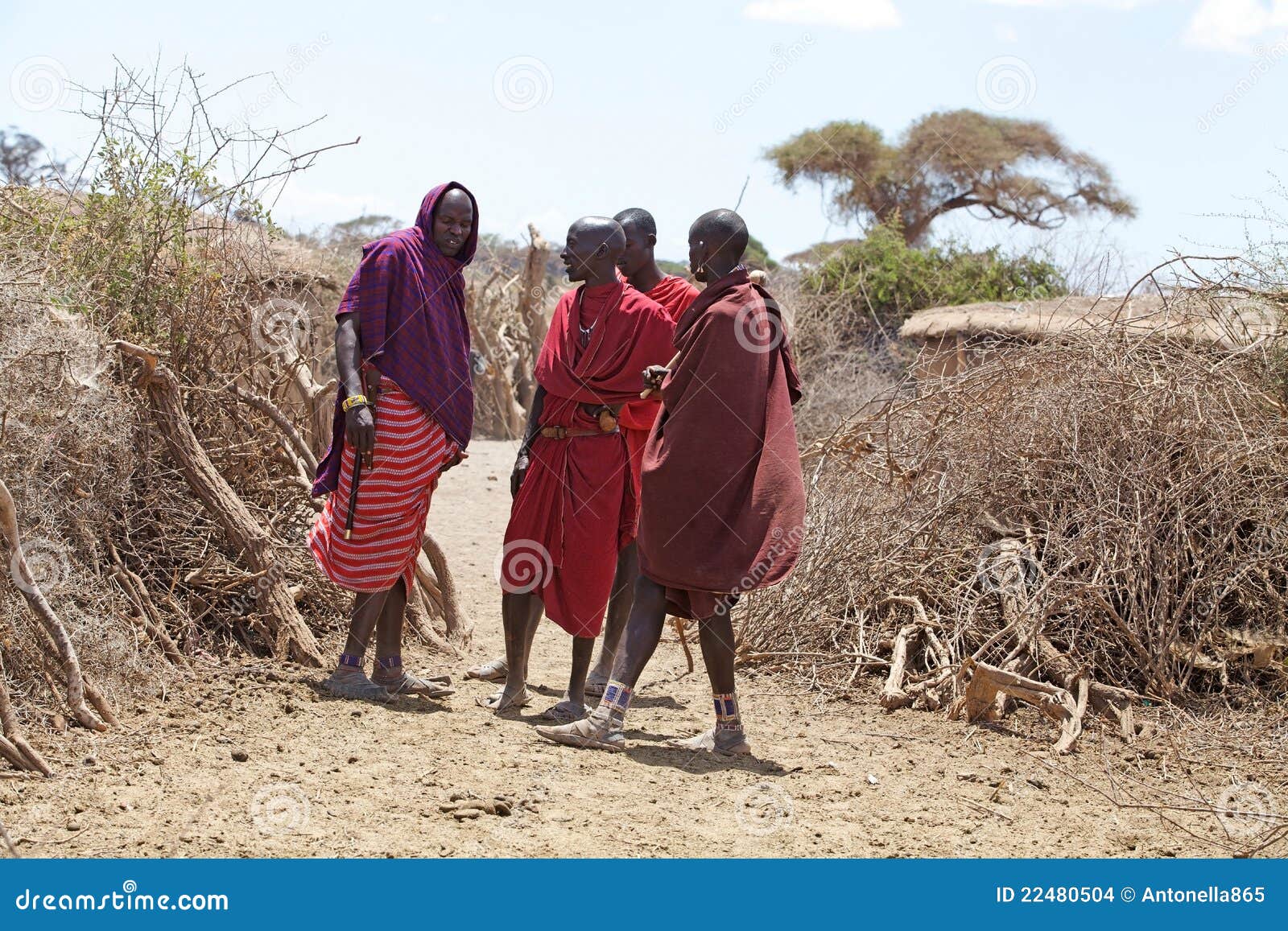 Masai men editorial stock image. Image of wild, people - 22480504