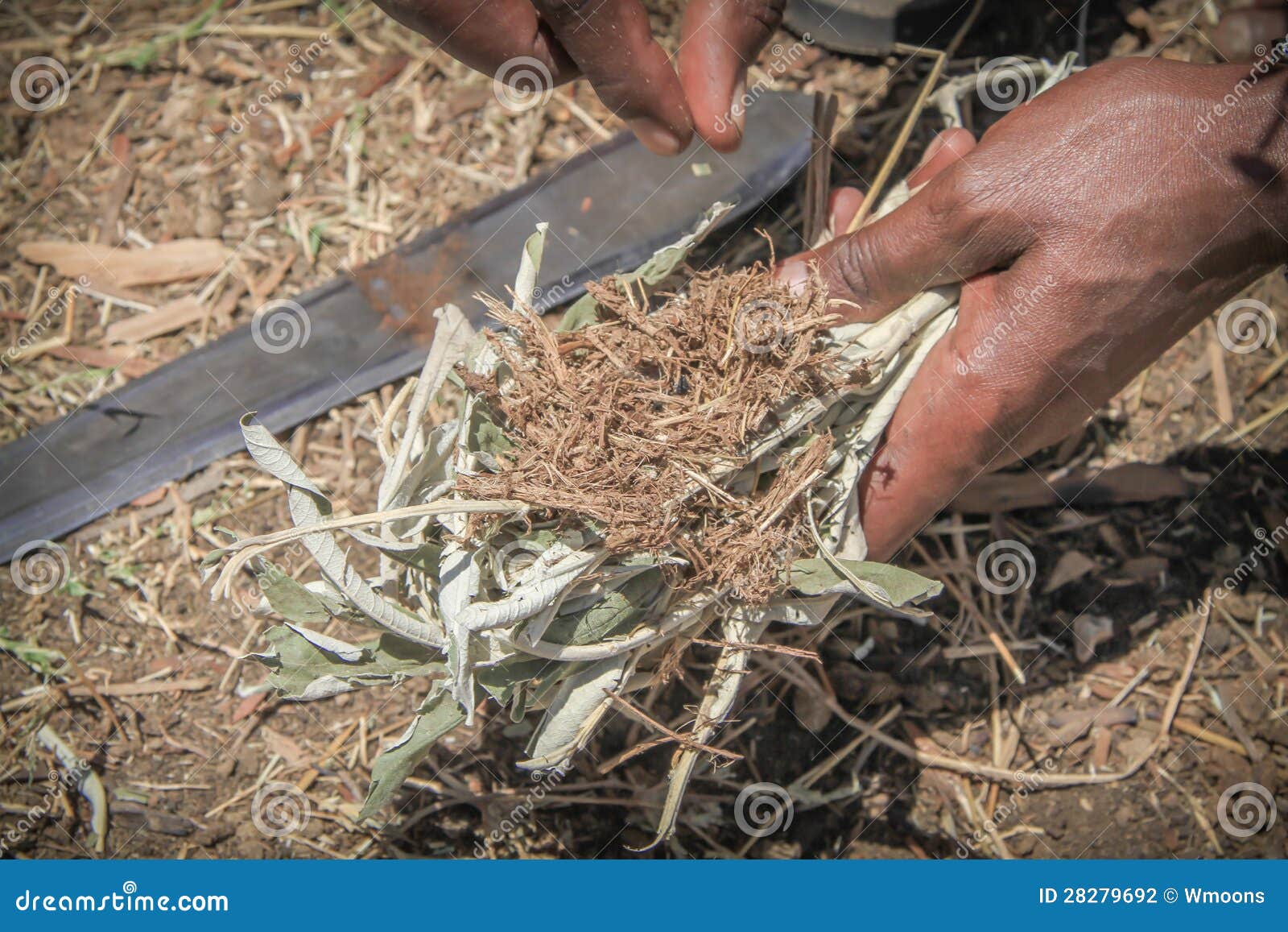 Masai men making fire editorial photography. Image of traditional ...