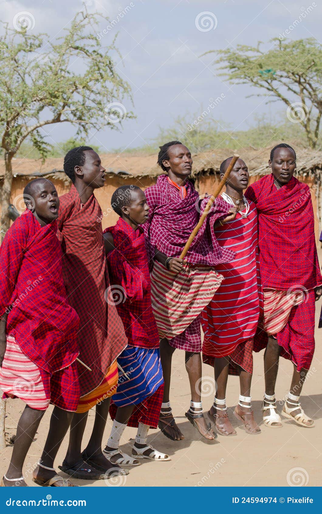 Masai people dancing editorial stock image. Image of elder - 24594974