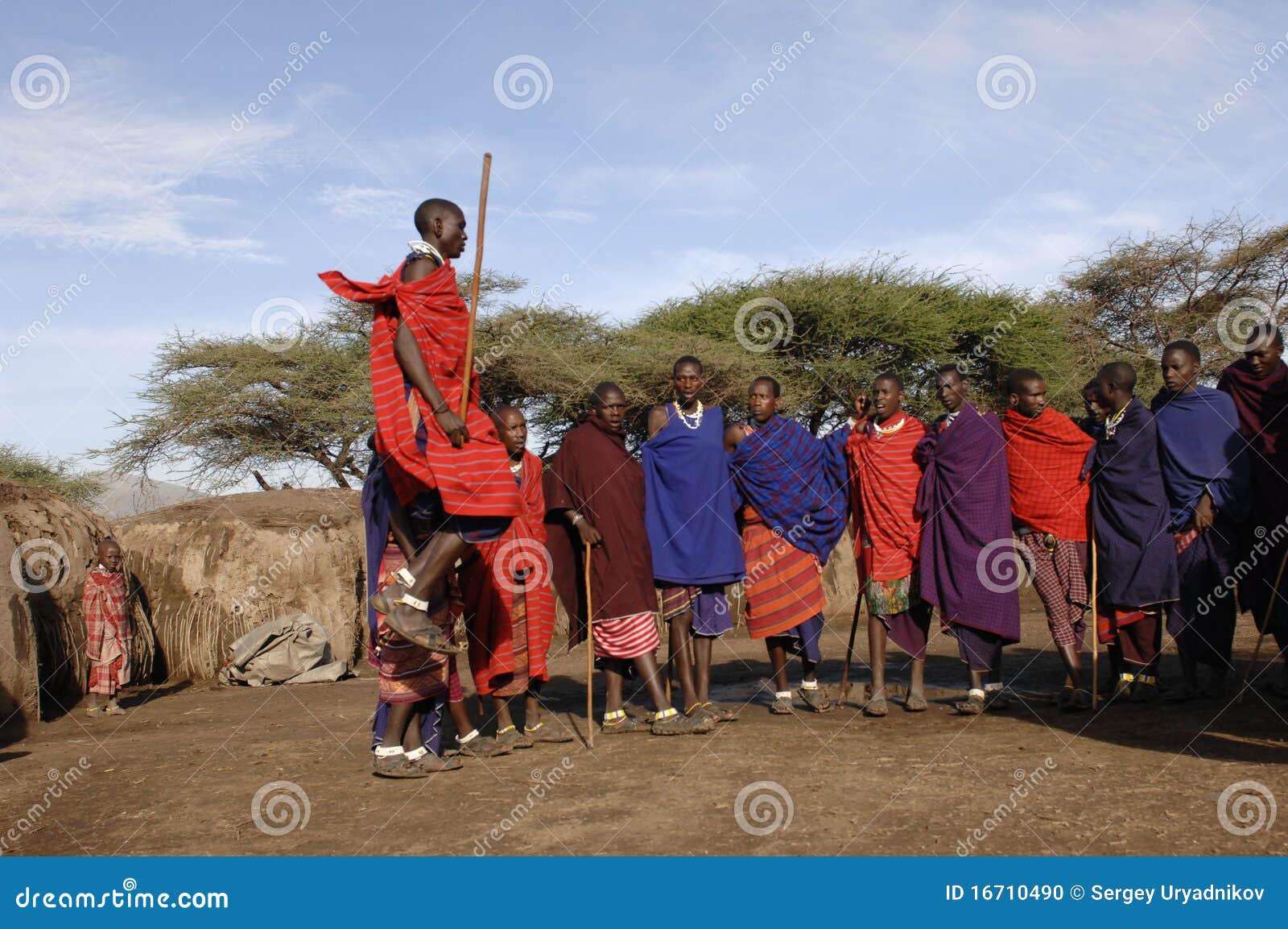 Masai Performing Warrior Dance. Editorial Image - Image of grassland ...