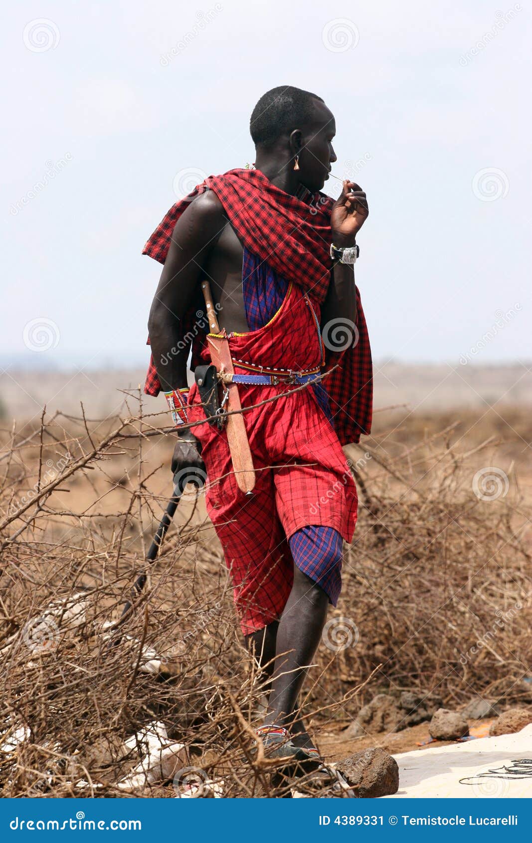 Masai portrait editorial photo. Image of travelling, south - 4389331