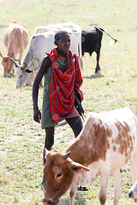 Masai shepherd editorial stock image. Image of wildlife - 4648134