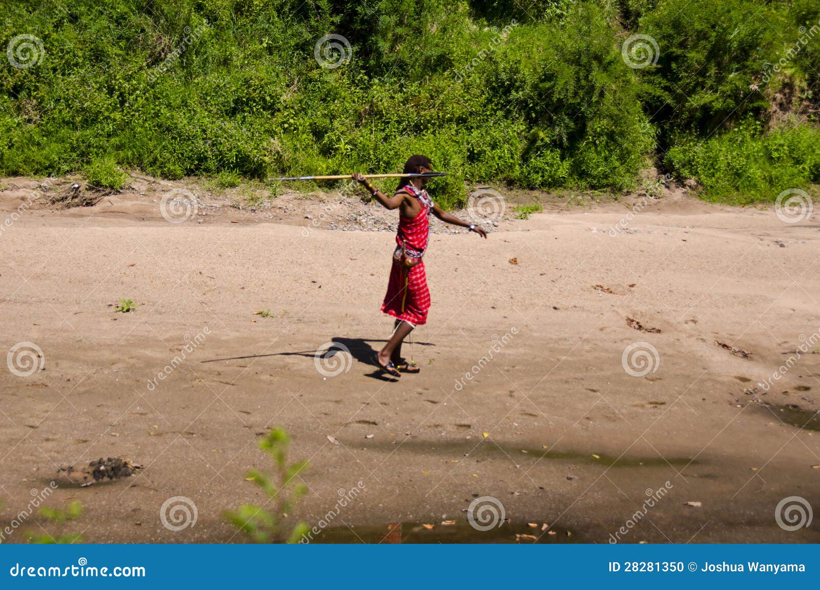 Masai warrior editorial image. Image of native, maasai - 28281350