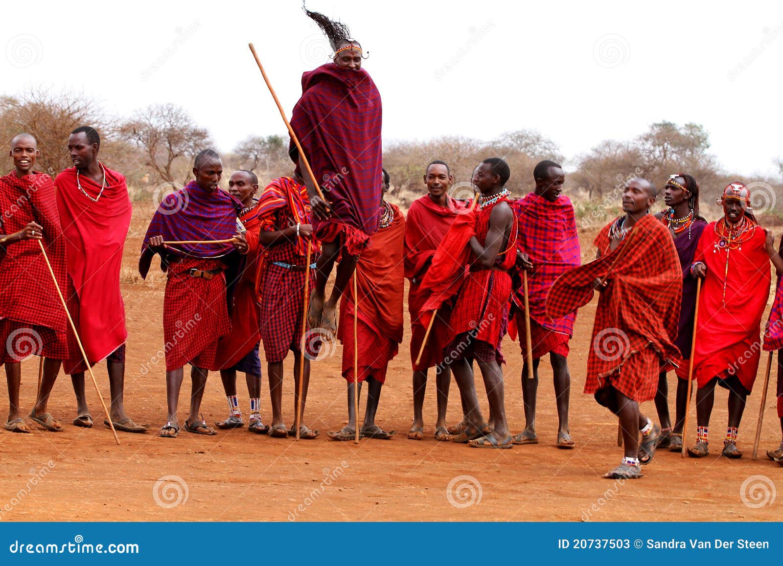 Masai warriors dancing editorial stock photo. Image of masai - 20737503