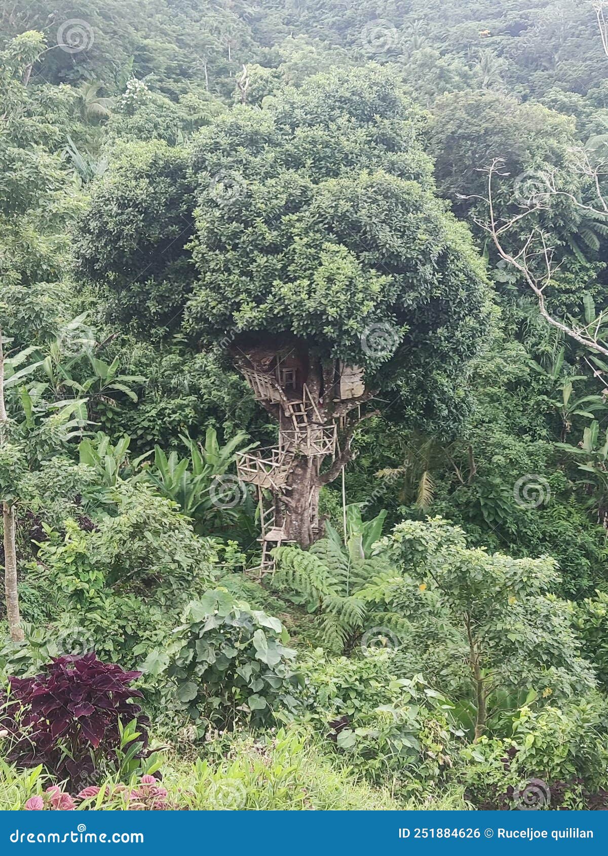 Masaraga Stock Photos - Free & Royalty-Free Stock Photos from Dreamstime